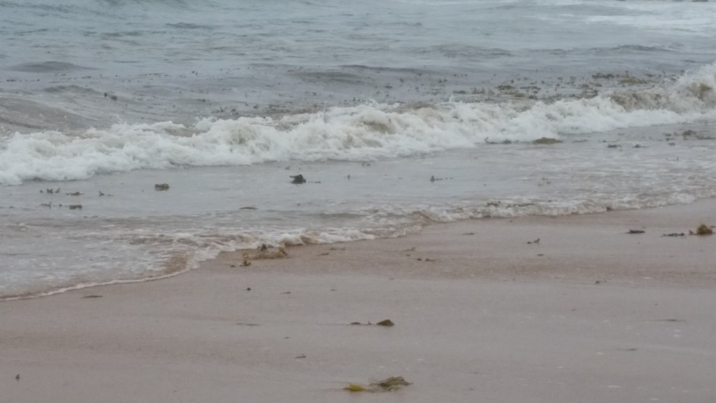 Shibashi 12 – Pushing the waves | Nature Health