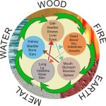 Understanding the five elements | Nature Health